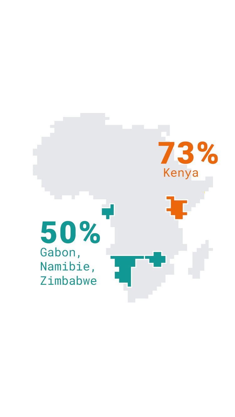 The impact of digitalisation on West African cities